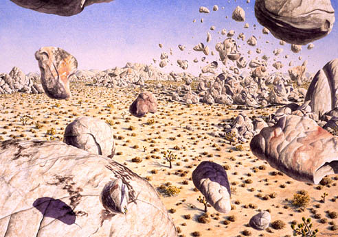 Gallery | Tim Shields Art