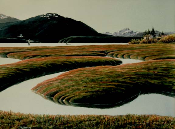 Gallery | Tim Shields Art